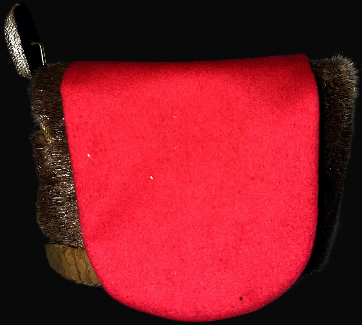 Officer Busby - Husaren-Regiment Nr 10 - Prussia - Der Rittmeister ...